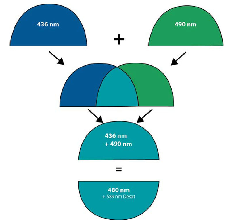 検査項目 | HMC Anomaloskop | 製品情報 | ニコンソリューションズ